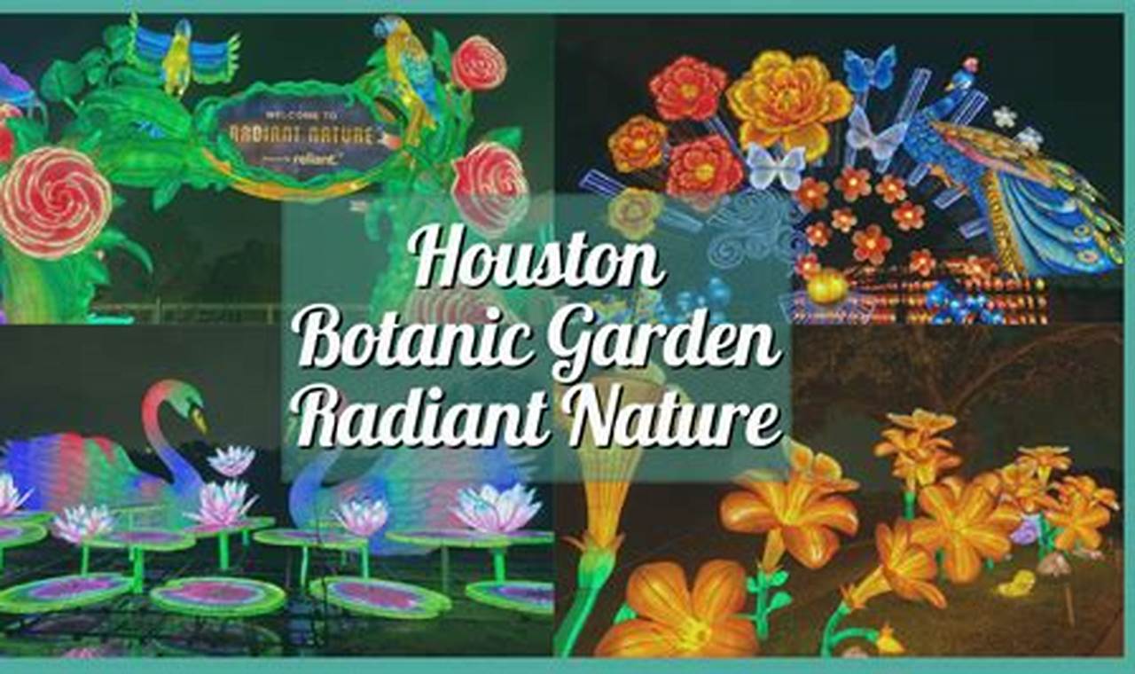 Experience Houston Botanic Garden Lights: A Dazzling Display