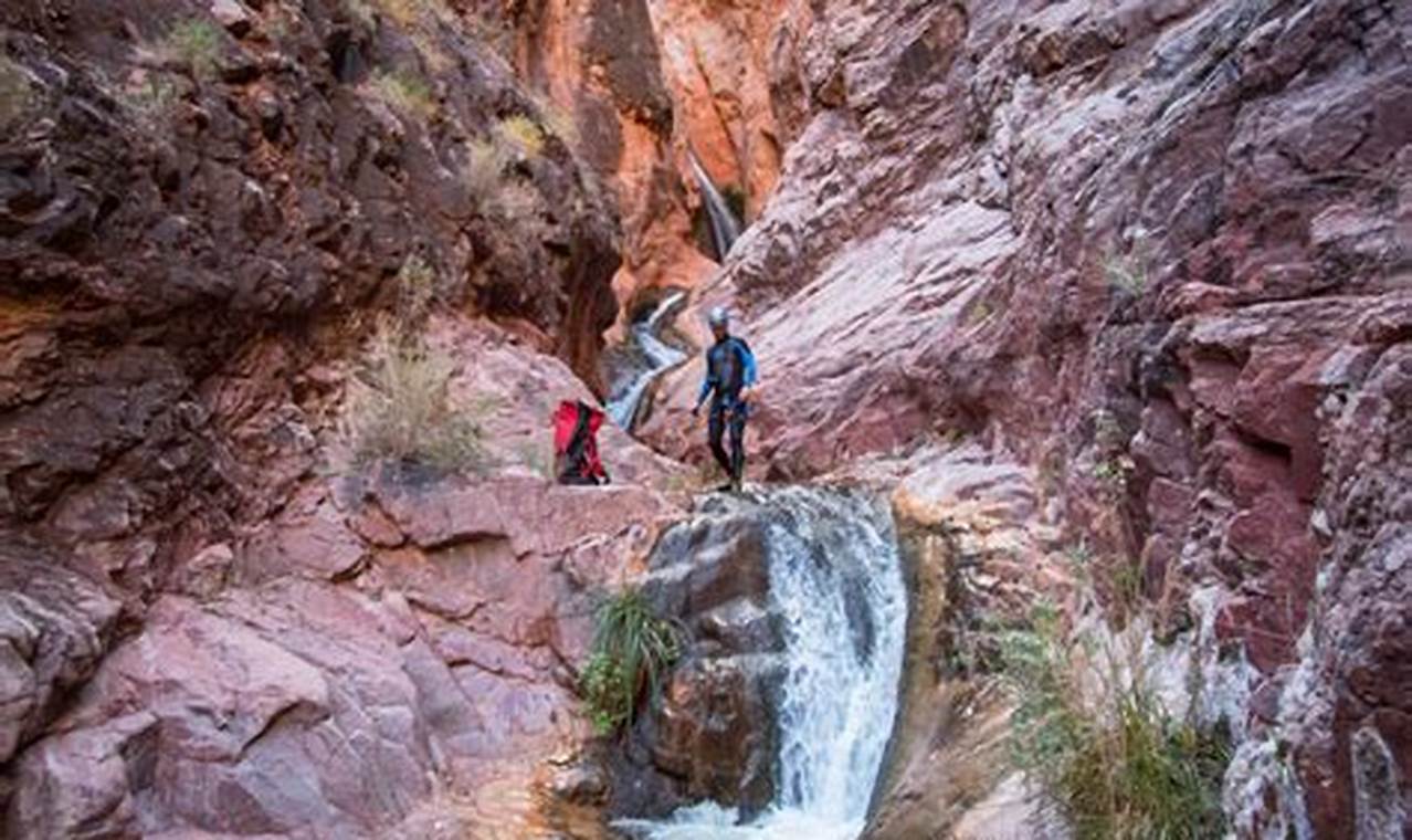Explore Garden Canyon Park: Nature's Hidden Gem!