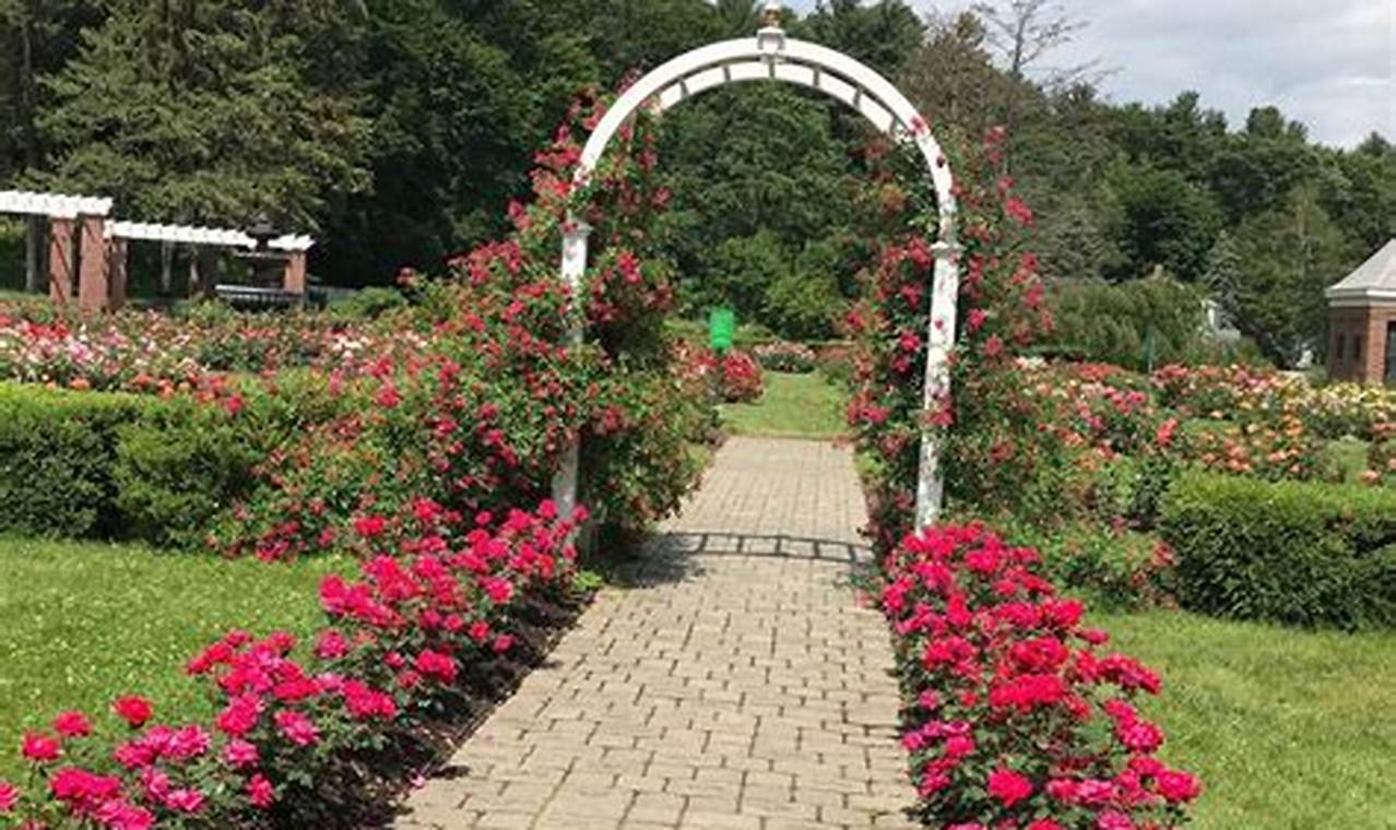 Explore Central Park Rose Garden: A Floral Park Oasis