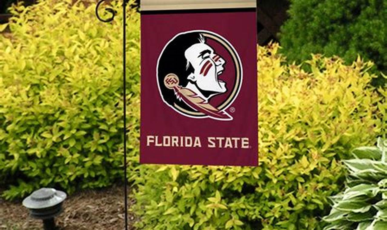 Show Your Spirit: FSU Garden Flag Designs & More!