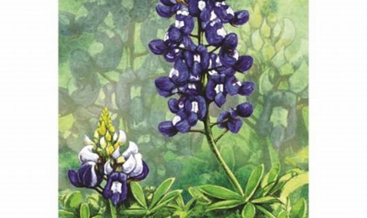 Shop Elegant Magnolia Garden Flags Today!