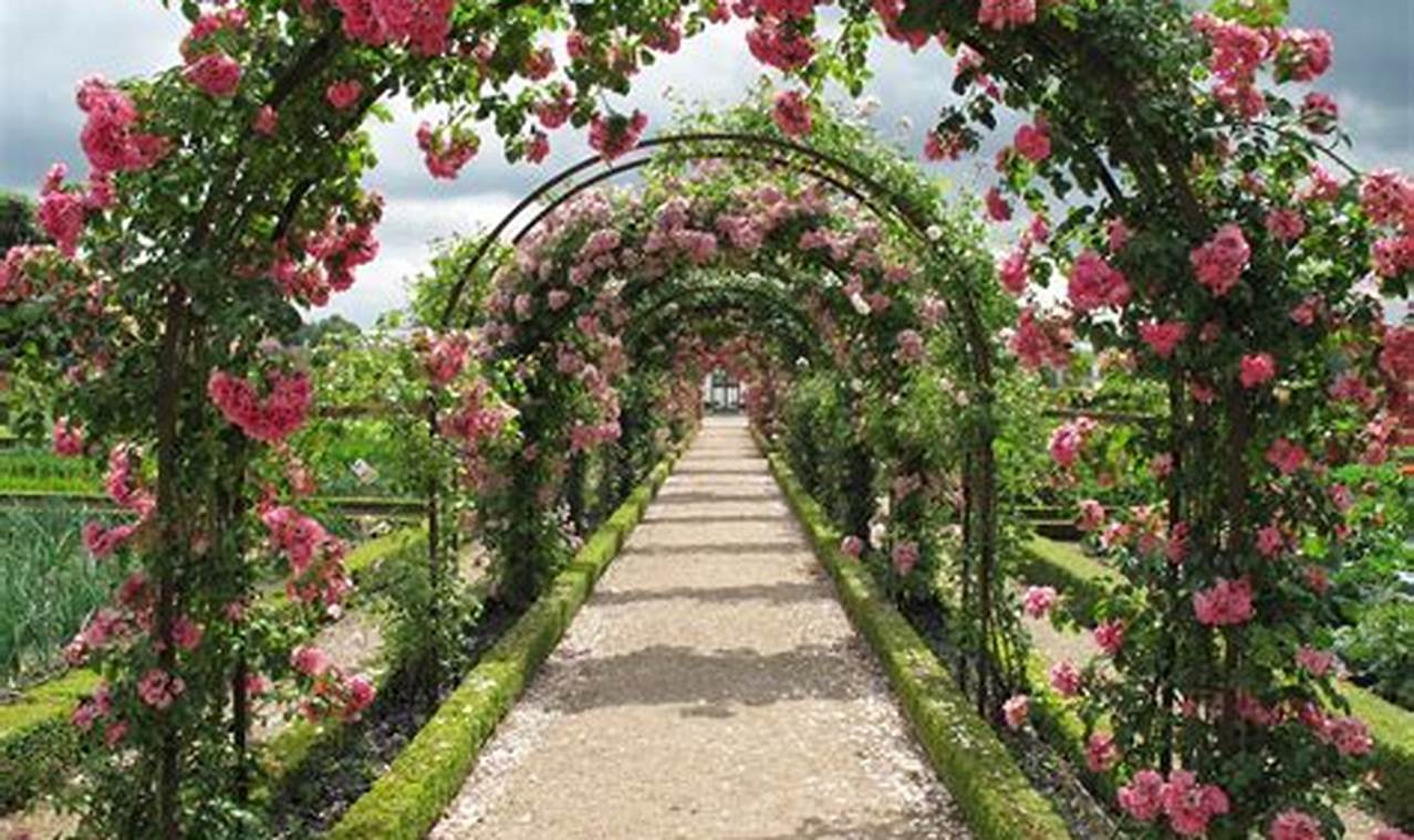Create a Stunning Ros Garden: Design & Care Tips