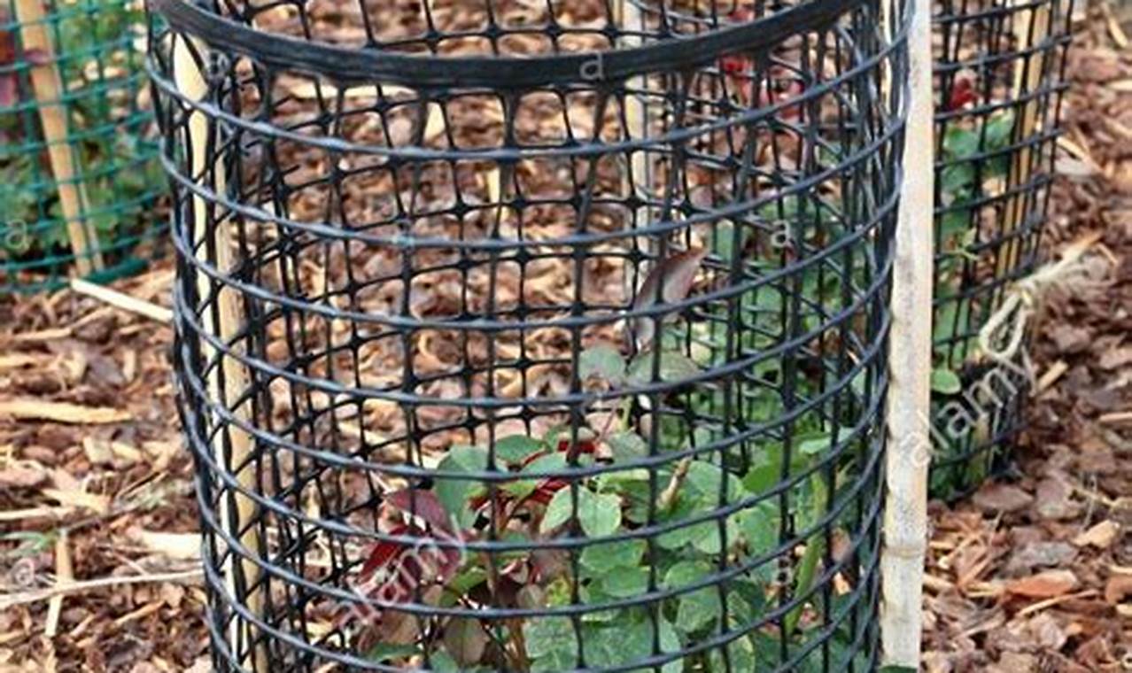 Easy Tricks: Garden Save Rose From Rabbits FAST!