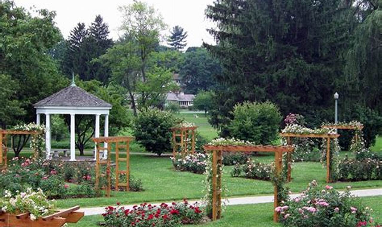 Visit Allentown PA Rose Garden: A Floral Paradise