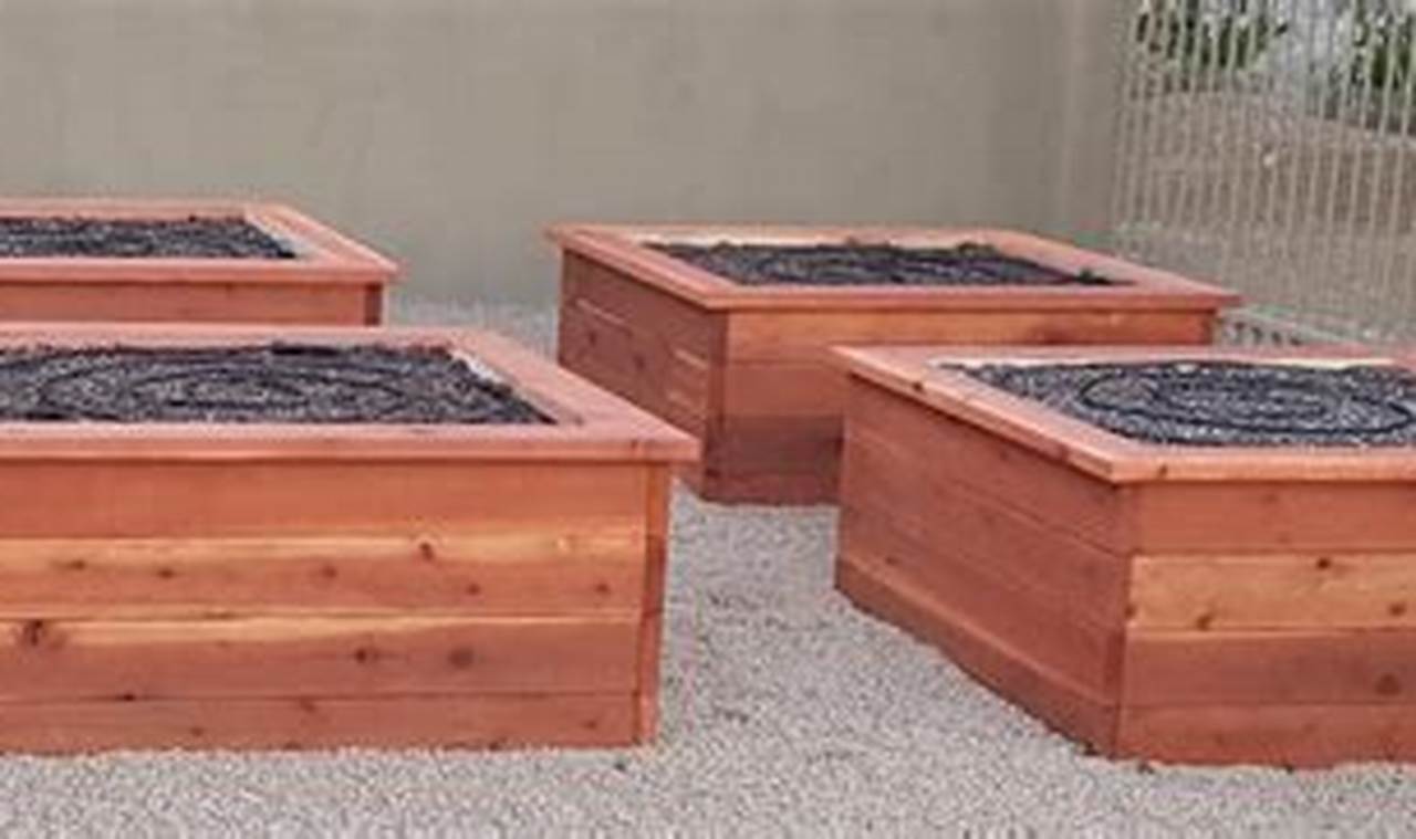 Grow Big: Raised Garden 4x4 for Bountiful Harvests!