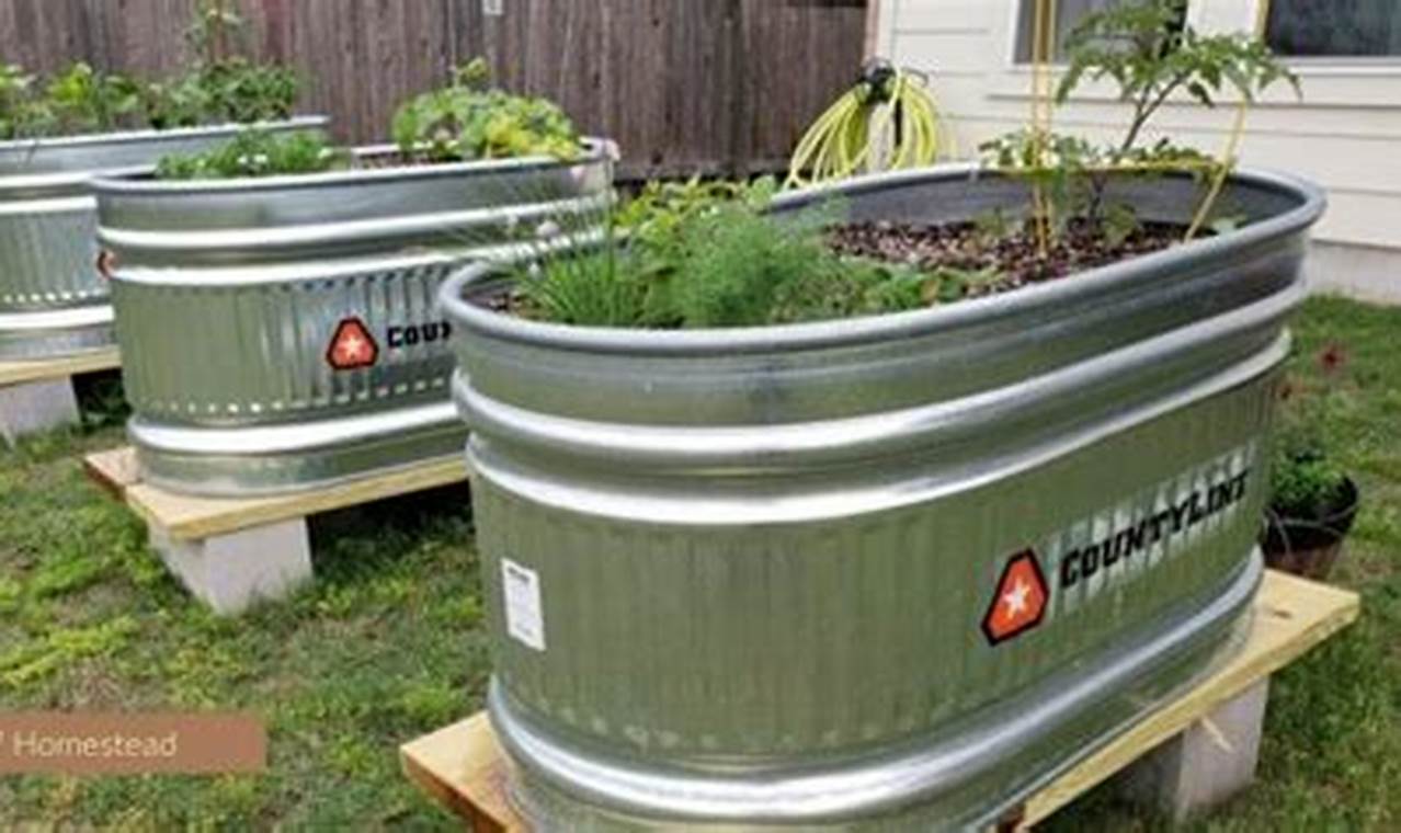 DIY Stock Tank Raised Bed Garden Ideas & Benefits