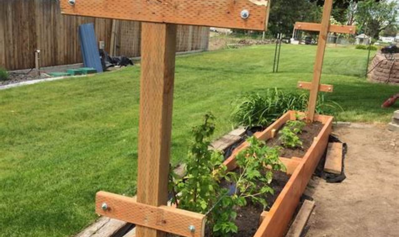 Grow More: Raised Garden Bed for Raspberries Success Guide