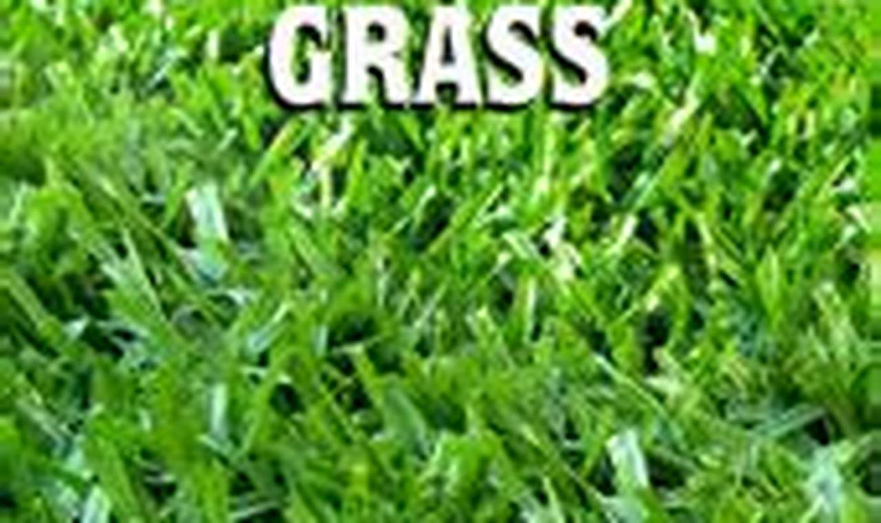 Buy Houston Garden Center Sod: Quality & Selection