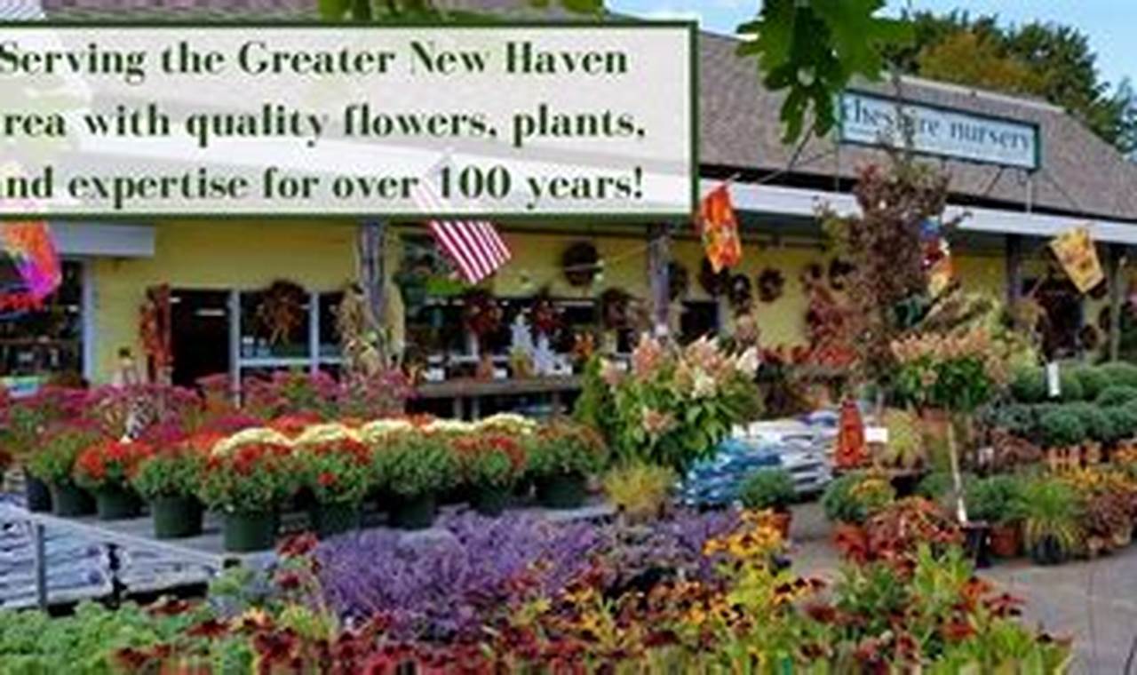 Cheshire Nursery Garden Center: Your Garden Starts Here!