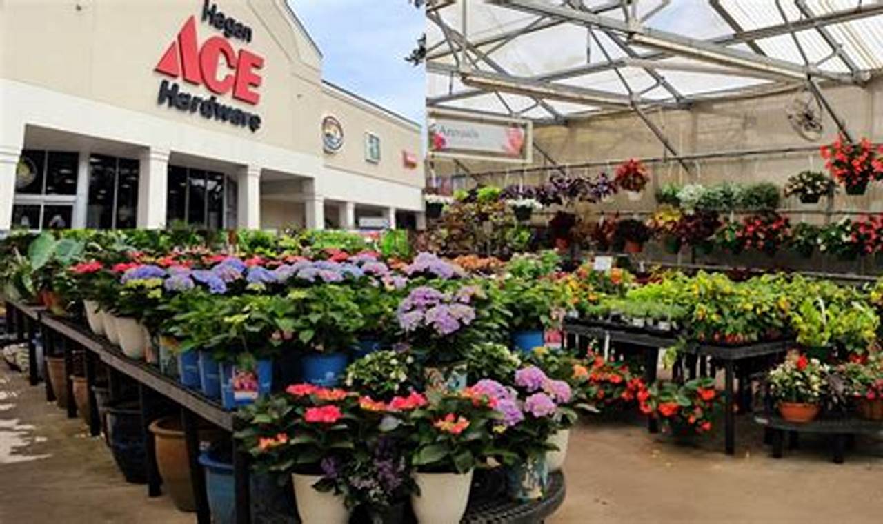 Your Grand Ave Ace Garden Center: Plants & More!