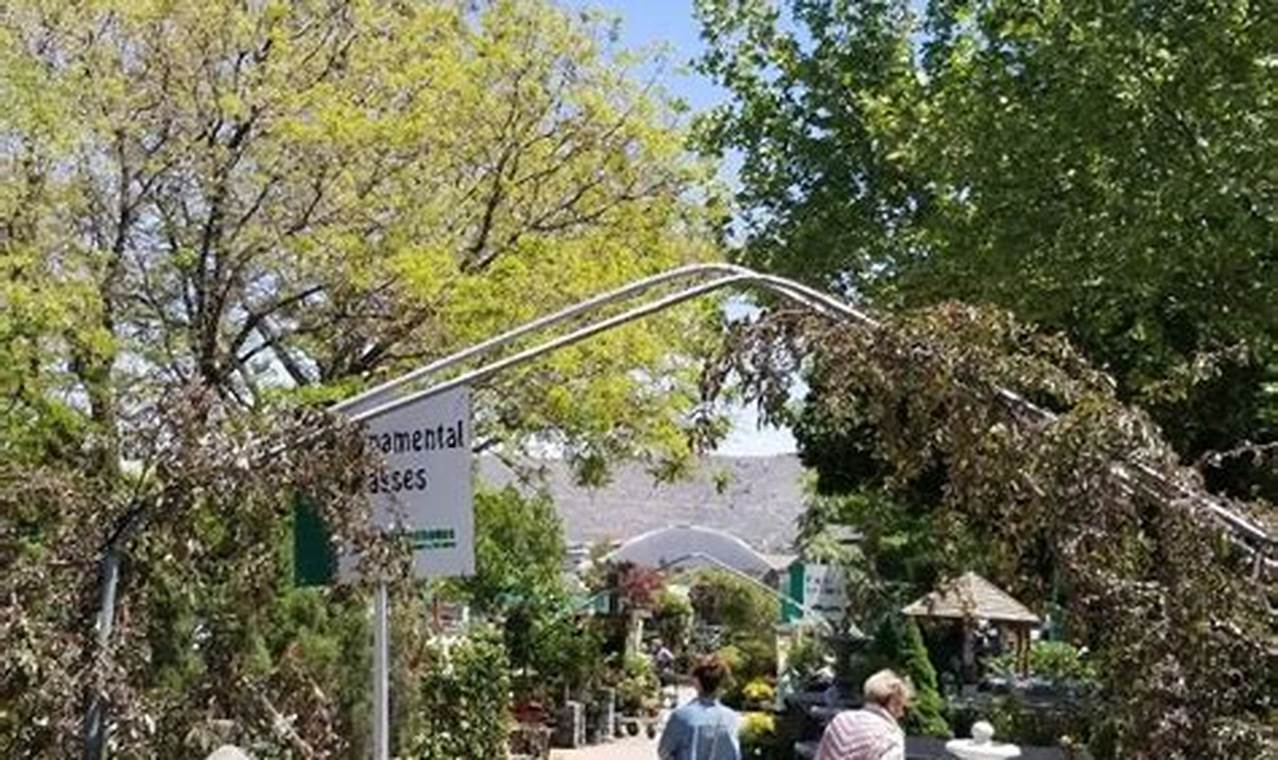 Find Your Perfect Plants: Greenhouse Garden Center in Carson City NV