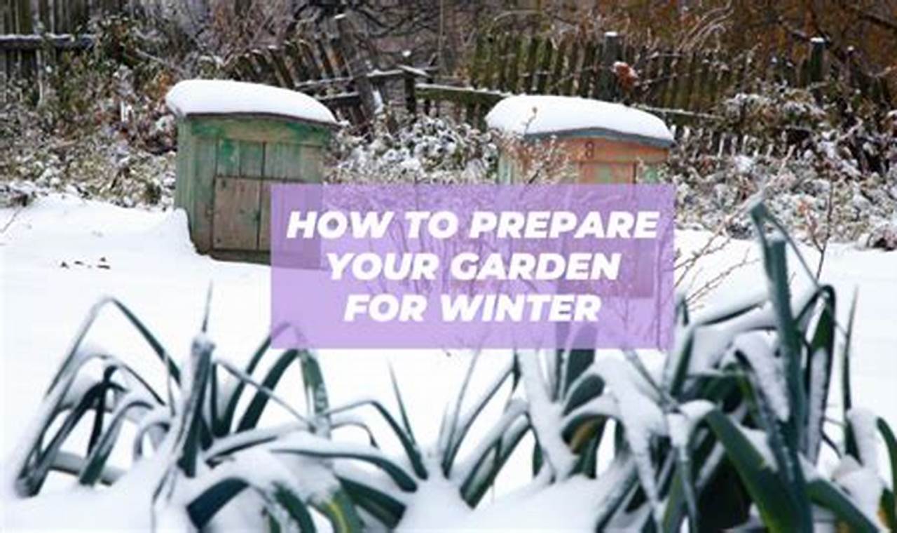 Winter-Ready: How to Prepare Your Garden for Winter's Chill