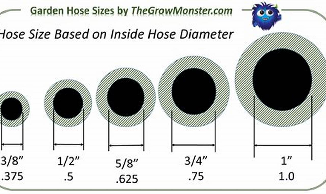 Guide to Garden Hose Dimensions: Size Matters!