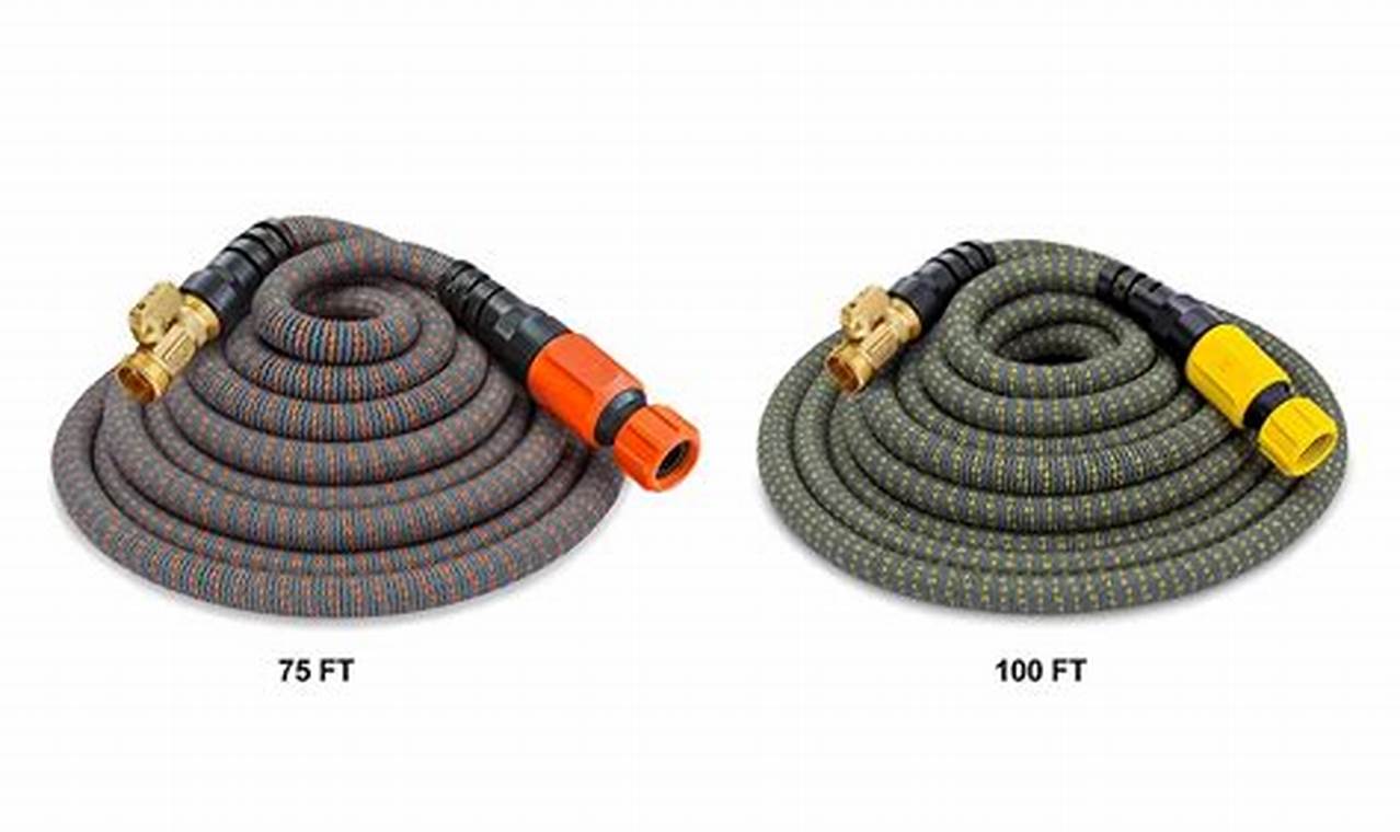 Buy the Best TSC Garden Hose: Reviews & Tips!