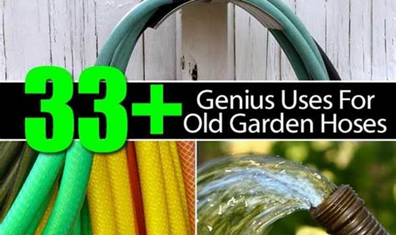 Clever Hose Hacks: 25 Genius Uses for Old Garden Hoses!