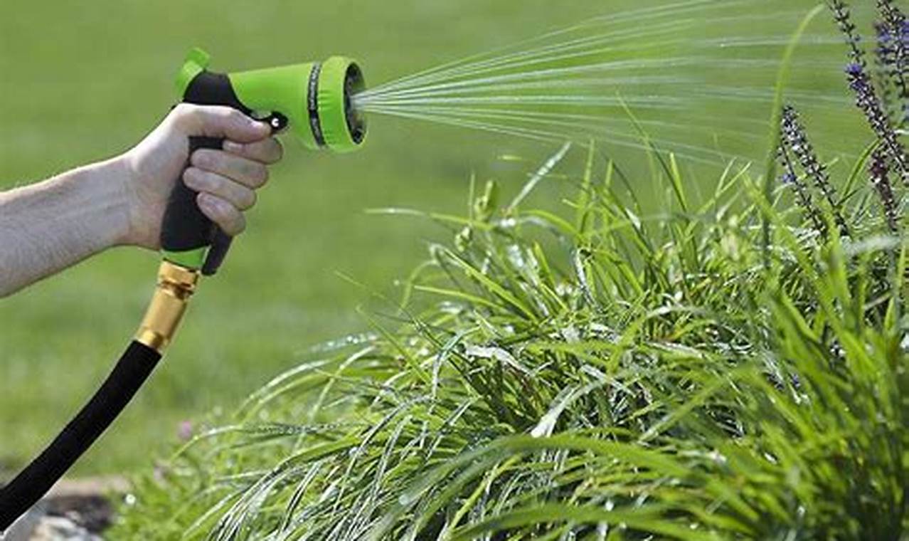 Best Garden Hose Fertilizer Injector: Efficient Hose Feeding!