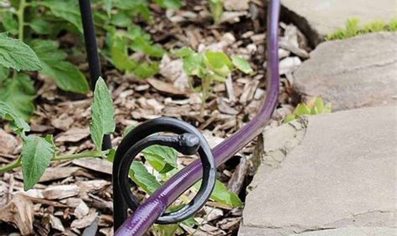 Protect Your Hose: Best Garden Hose Guards Today!