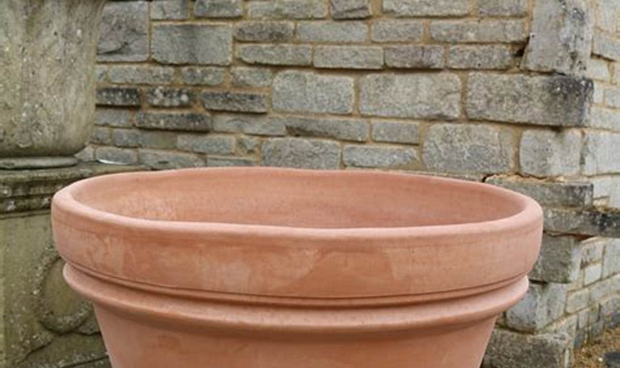 Elevate Your Garden with Large Terracotta Pots: Styles & Tips