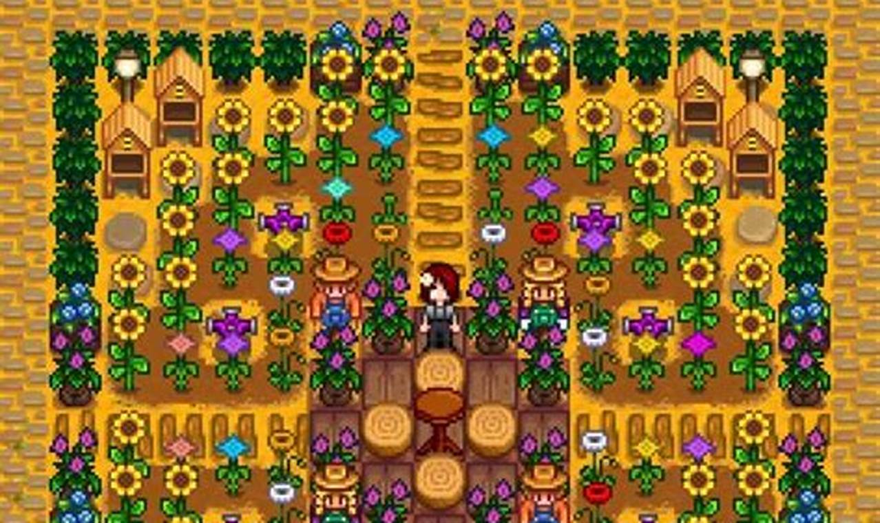 Fast Garden Valley Internet: Plans & Local Access