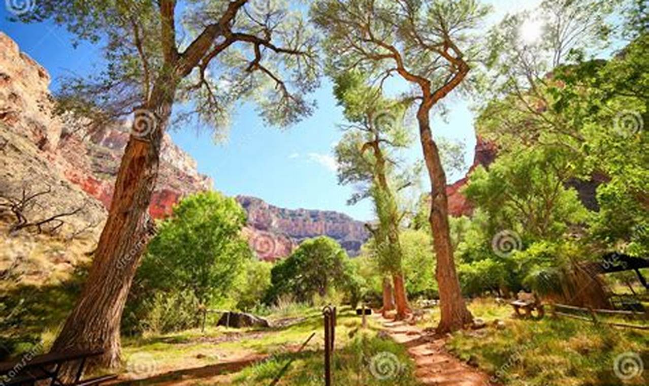 Oasis at Indian Garden, Grand Canyon: A Hiker's Guide