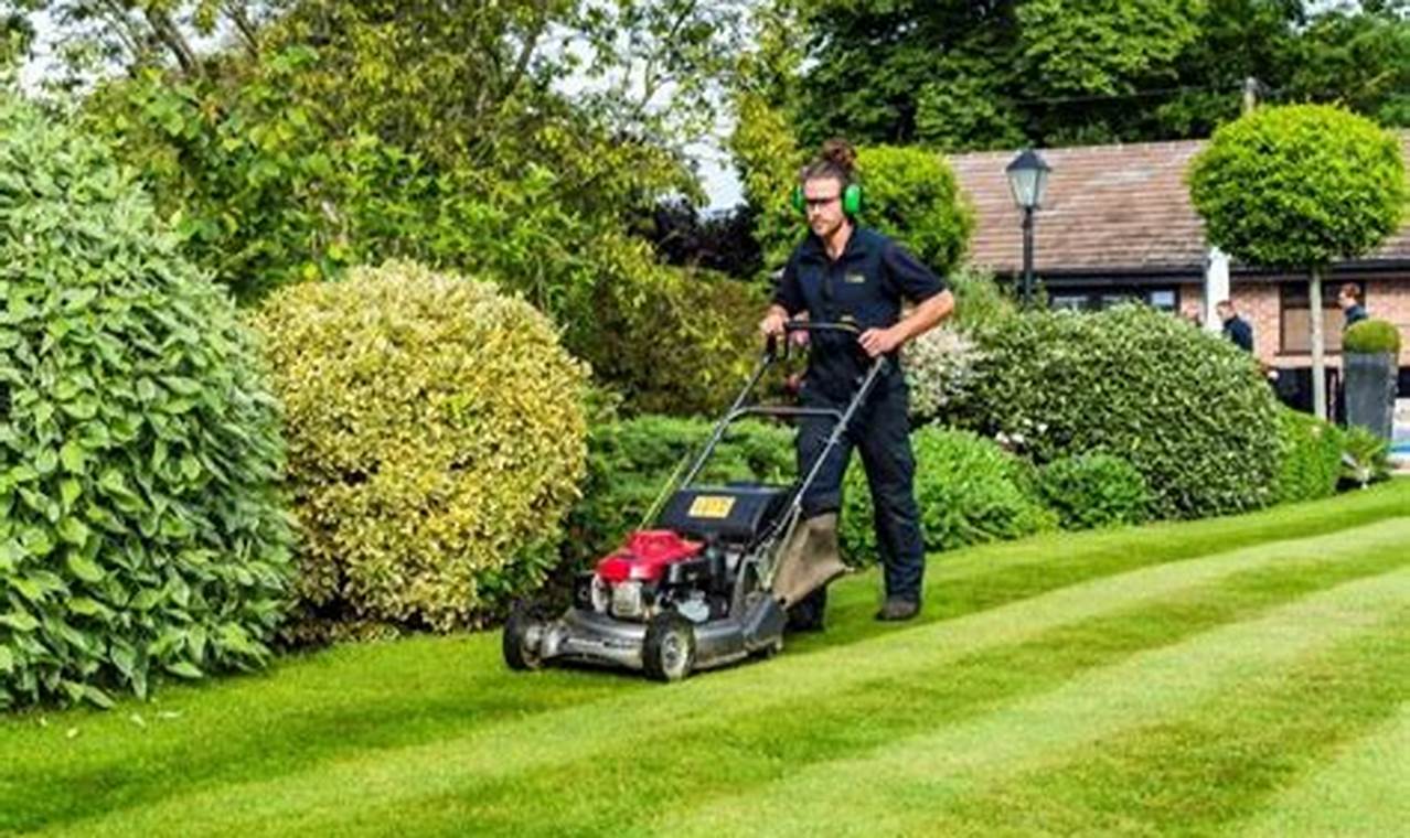Local Garden Services Pros: Enhance Your Garden Today!