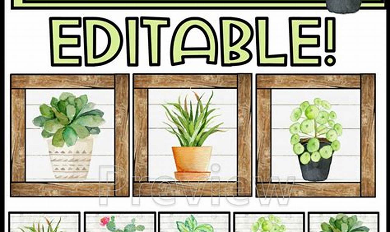 Easy Label Plants in Garden: A Complete Garden Guide