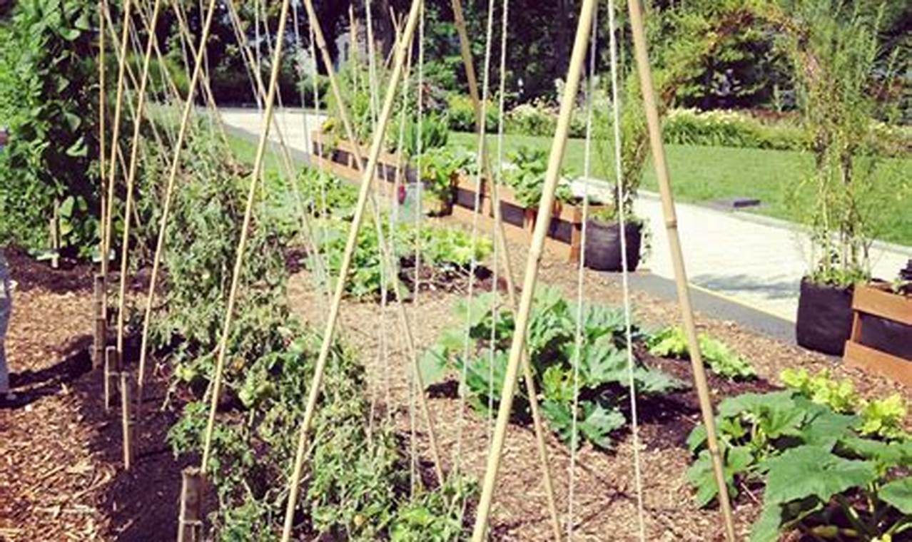 DIY String Garden Trellis Ideas + Tips & Tricks