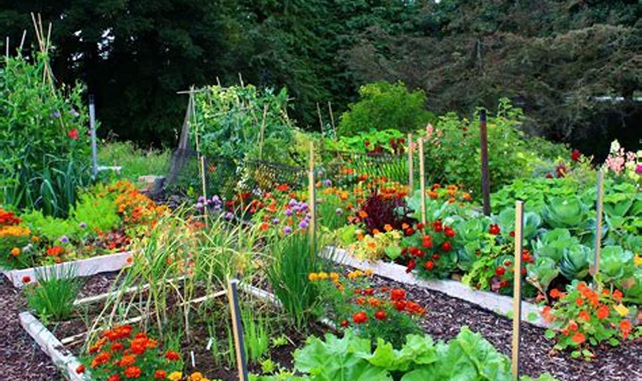 Your Garden Patch Oasis: Grow More, Effortlessly