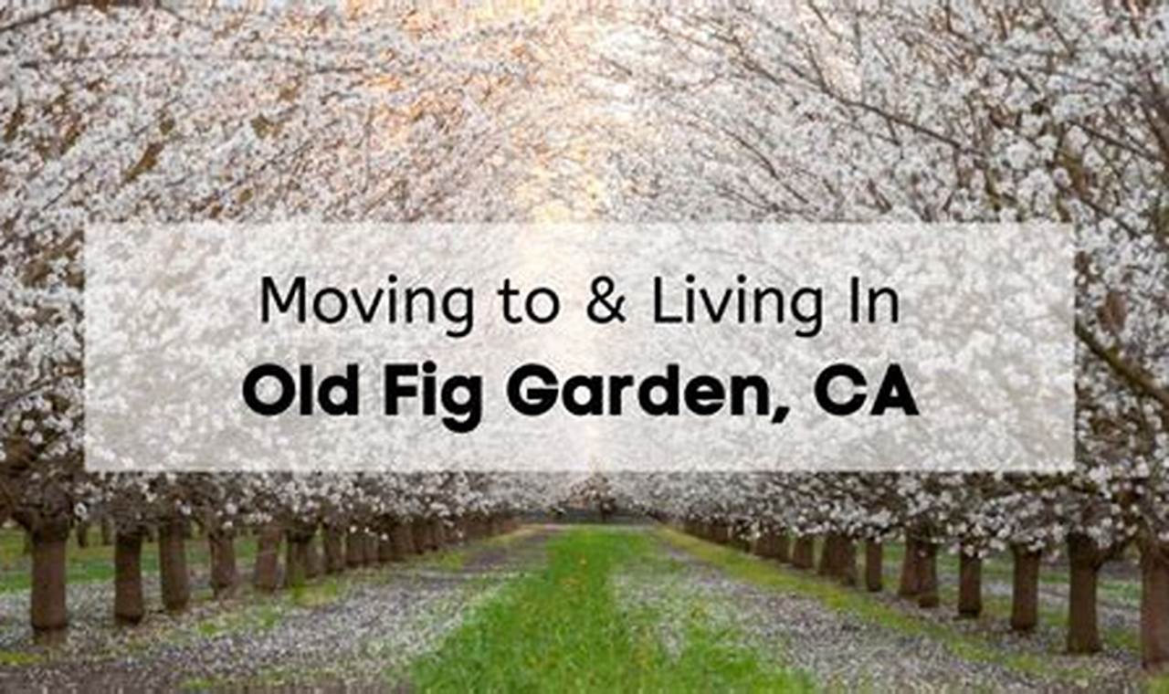 Discover Fig Garden California: Oasis Living!