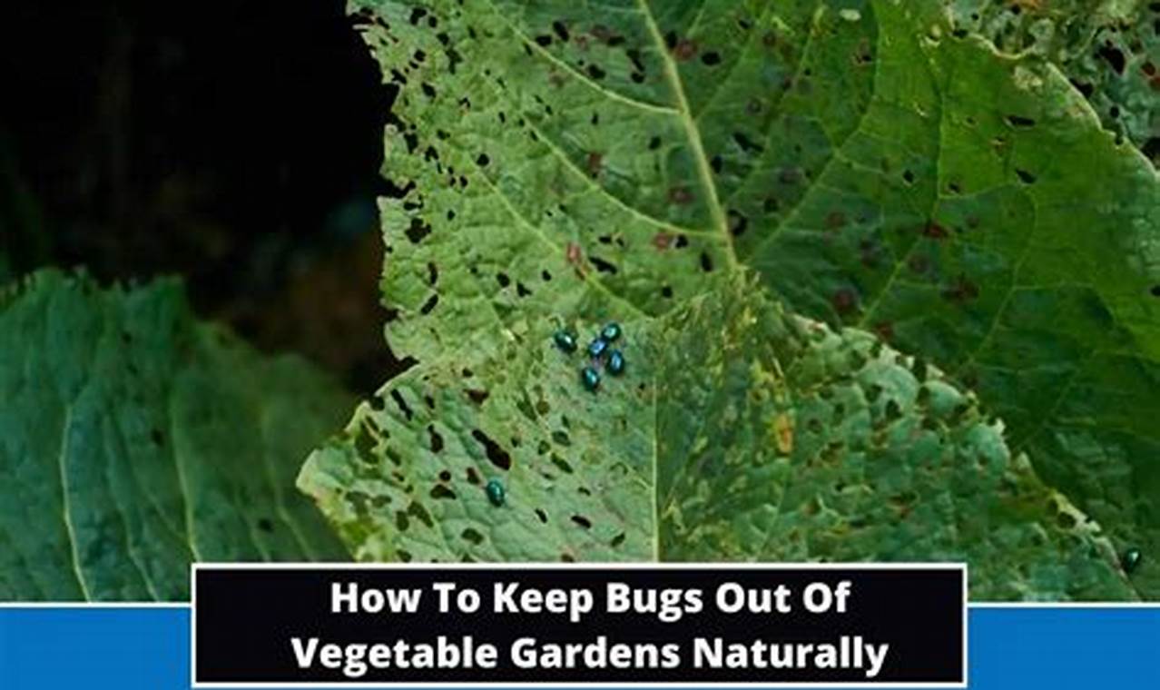 Easy How to Keep Insects Out of Your Garden {Tips}