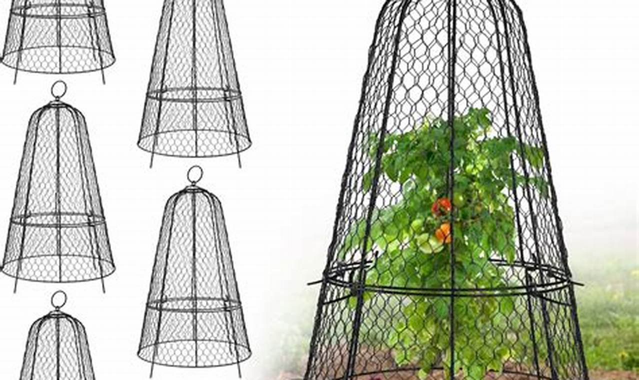 Grow More! Garden Cloches for Plants & Beyond